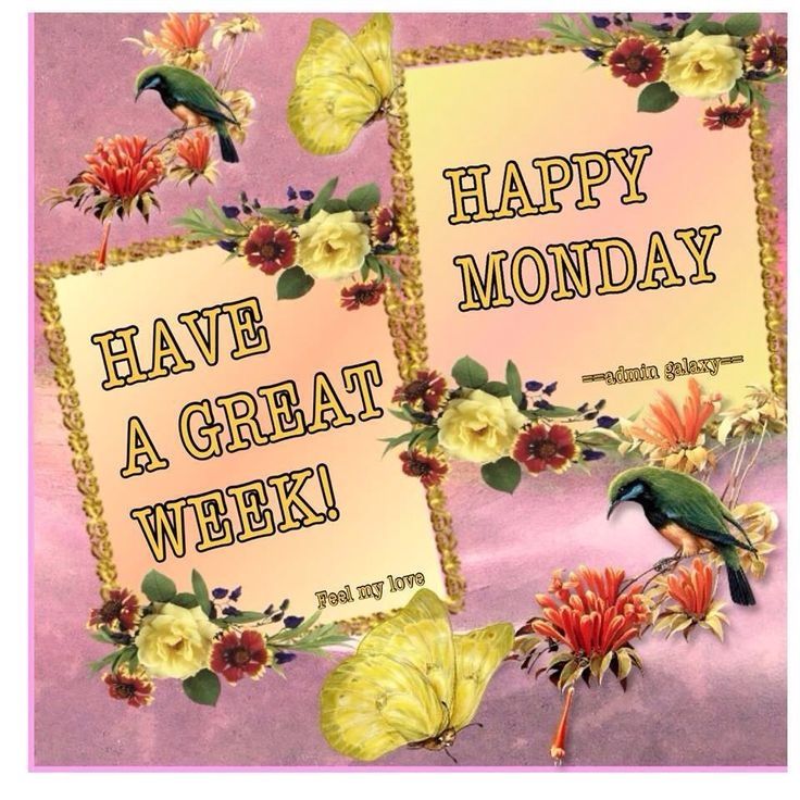 Have A Good Week Tumblr