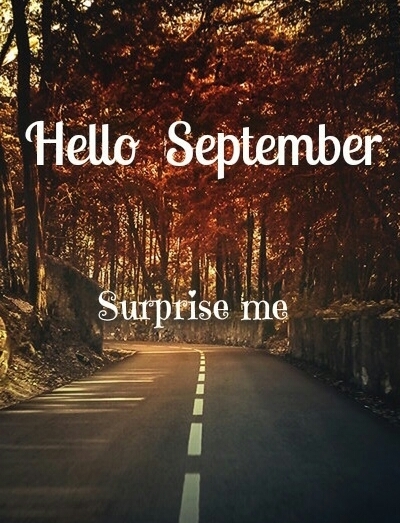 Hello October Surprise Me