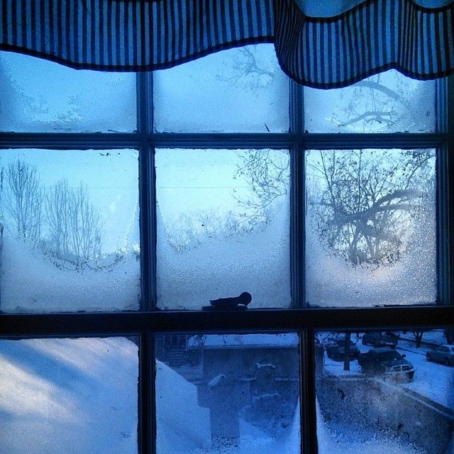 Frosted Window Snow