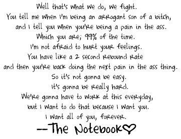The Notebook Quotes Thats What We Do We Fight The Notebook Quotes