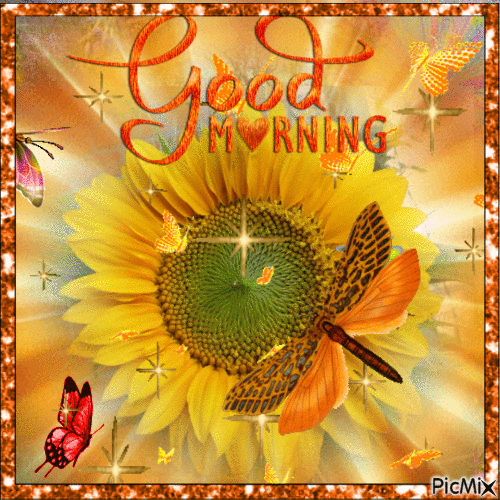 Good Morning Gif New 2023 With Sound Effects Gif - Infoupdate.org