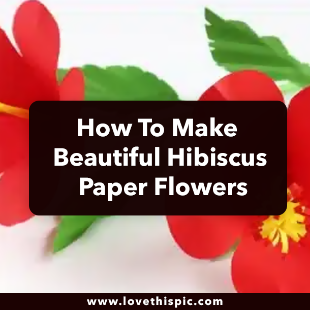 Hibiscus Paper Flower Pattern