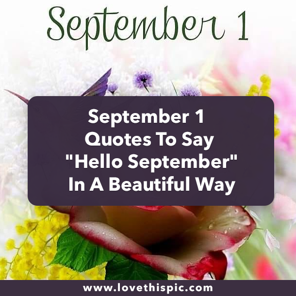 Hello Quotes And Sayings